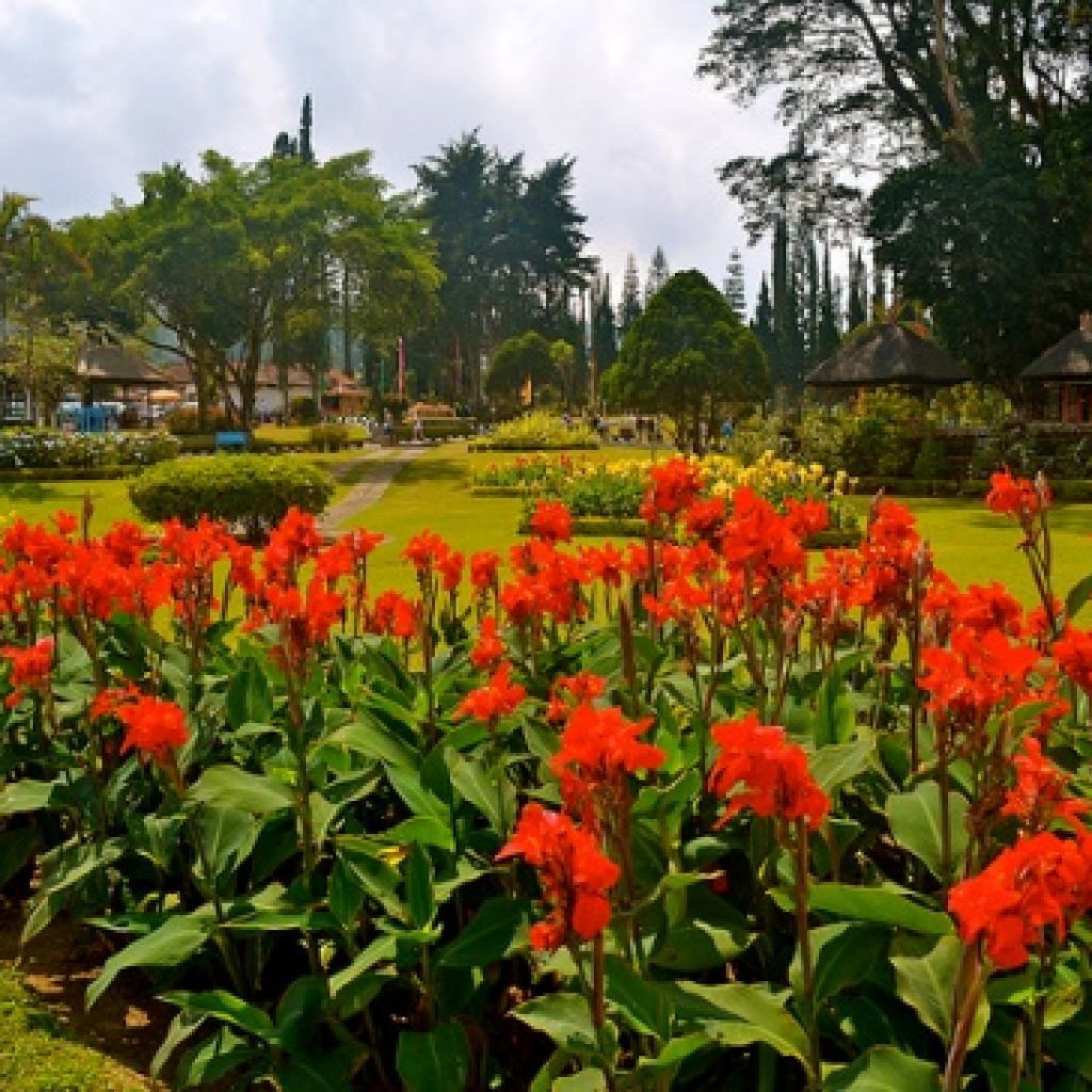 Bali Botanical Garden in Bedugul - Indonesia Travel Guide